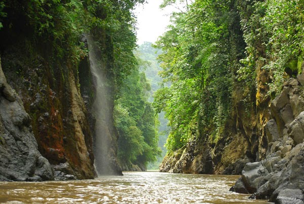 ECOSISTEMAS DE COSTA RICA: RESERVA FORESTAL RÍO PACUARE