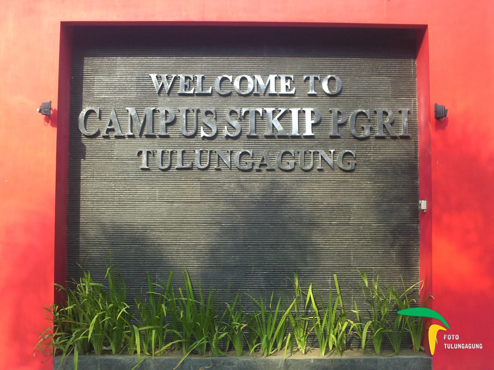 Sekolah Tinggi di Tulungagung | Kampus STKIP Tulungagung Jawa Timur