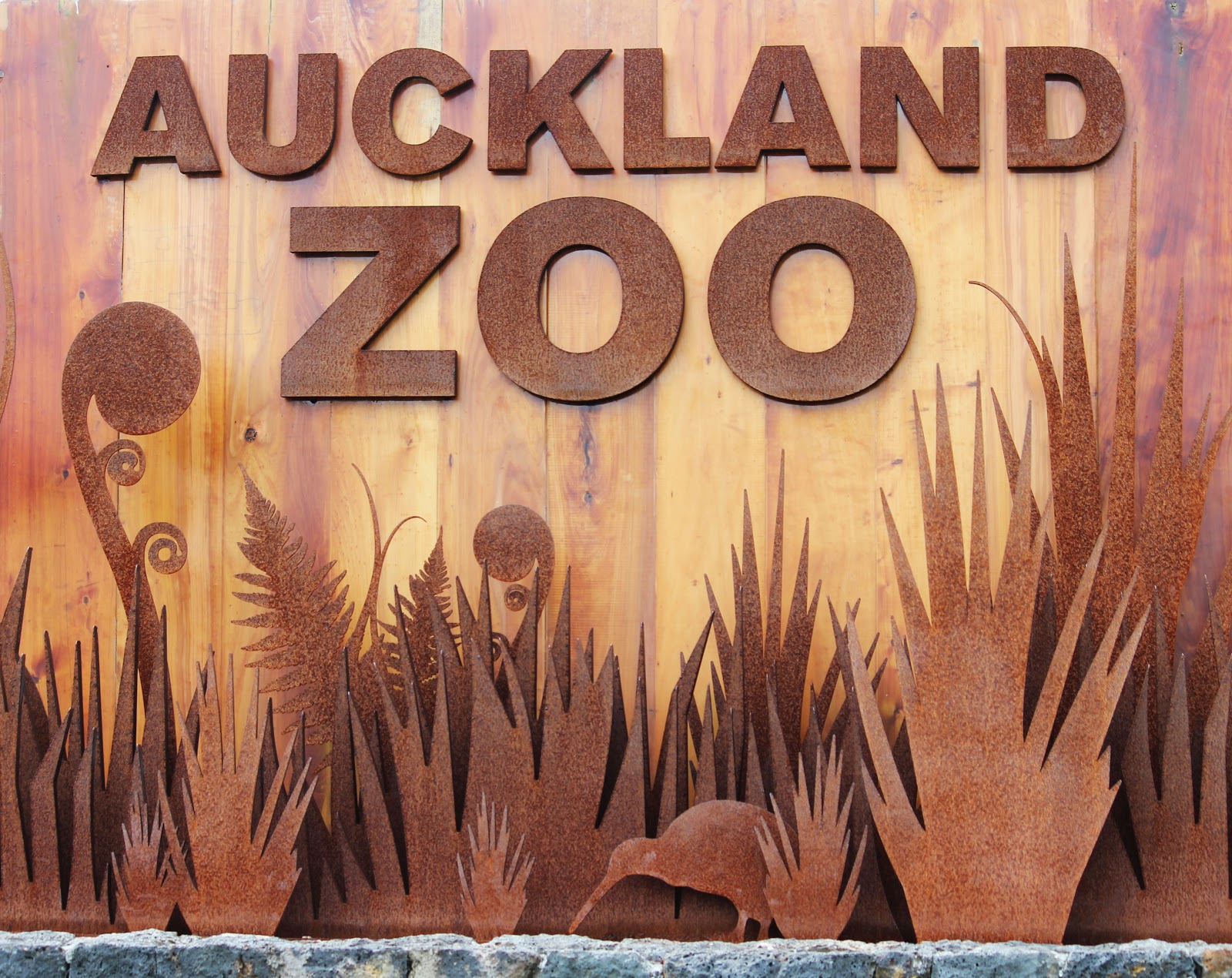 Marinky Photography: Auckland Zoo