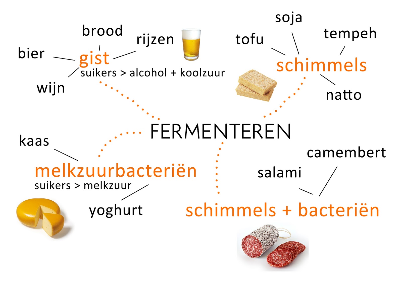 Gastronomixs Dutch: Techniek: Fermentatie