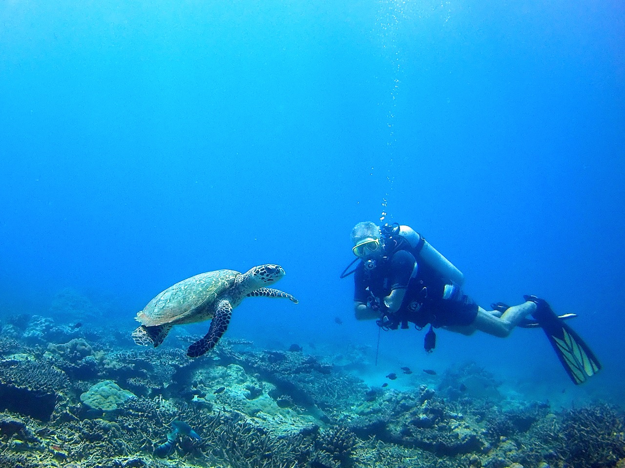 Underwater Centre ~ Dive Seychelles