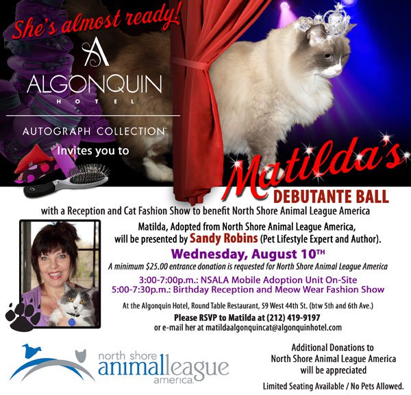 Catsparella: On Location at Matilda the Algonquin Cat's Debutante Ball ...