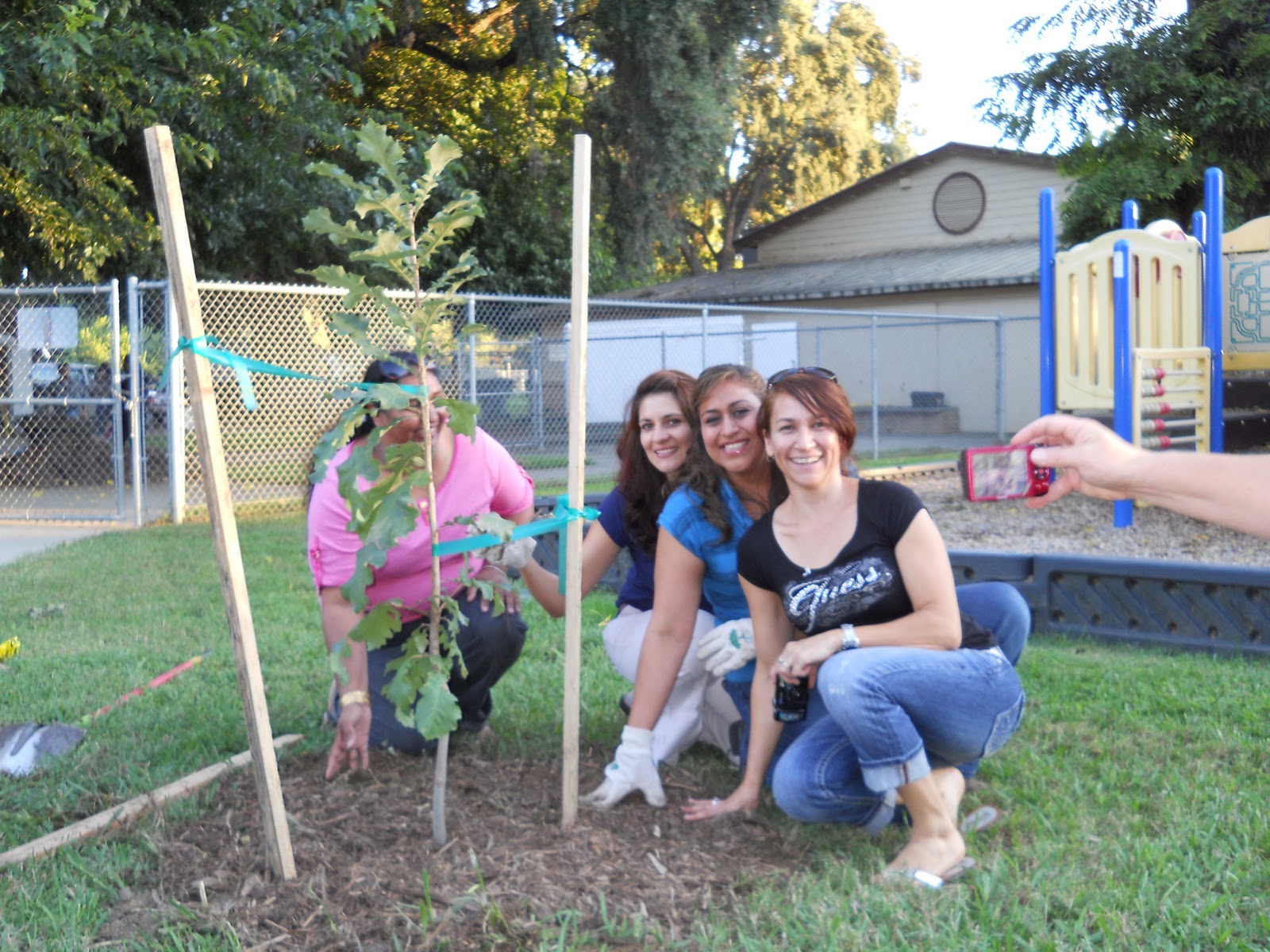 Learning and Teaching With Preschoolers: Planting Trees with Children ...