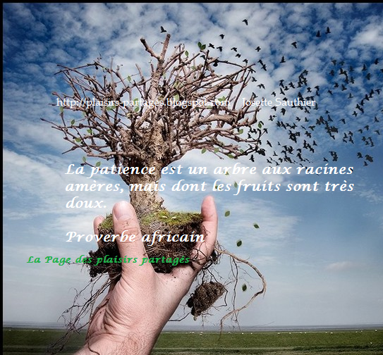 La Page des Plaisirs Partagés: Citation sur la patience