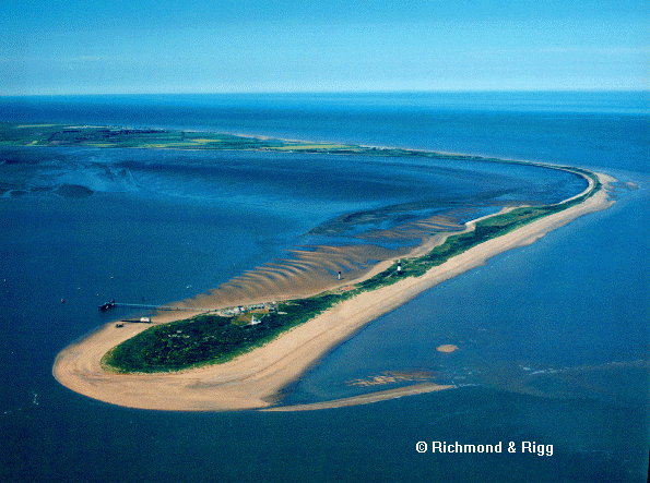 Landforms in the World: Coastal and Oceanic Landform ( 46. Spit )