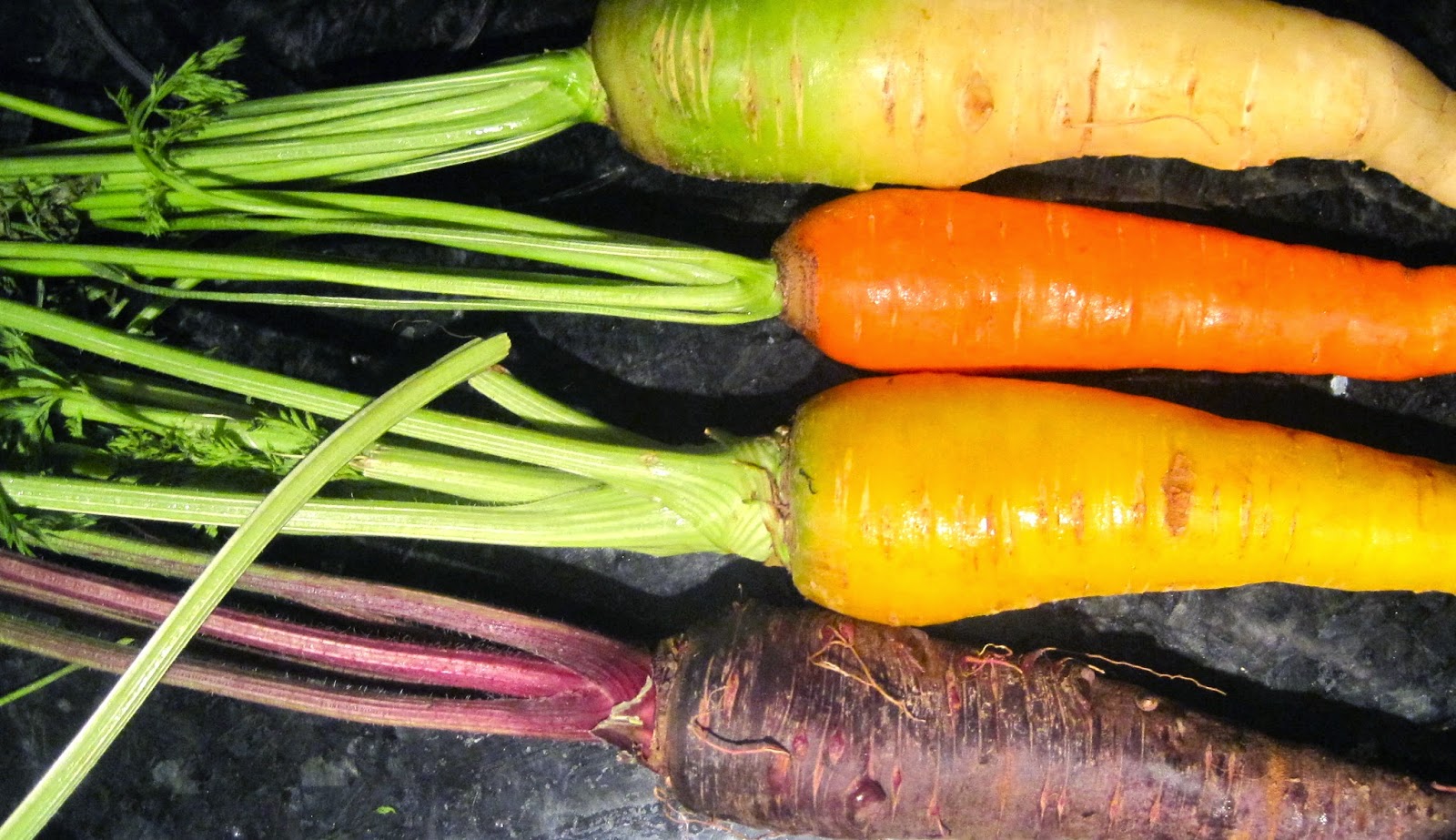 Kvell in the Kitchen: Vinegar Carrots with Toasted Sesame Seeds