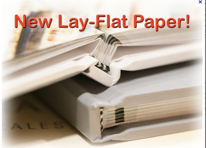 Photo album --manufacturer: Flush mount album--different binding