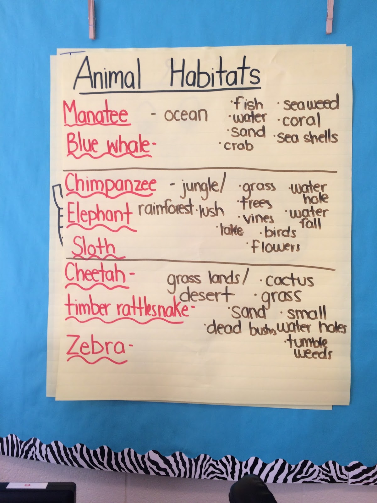 First Grade Love : Animals Galore