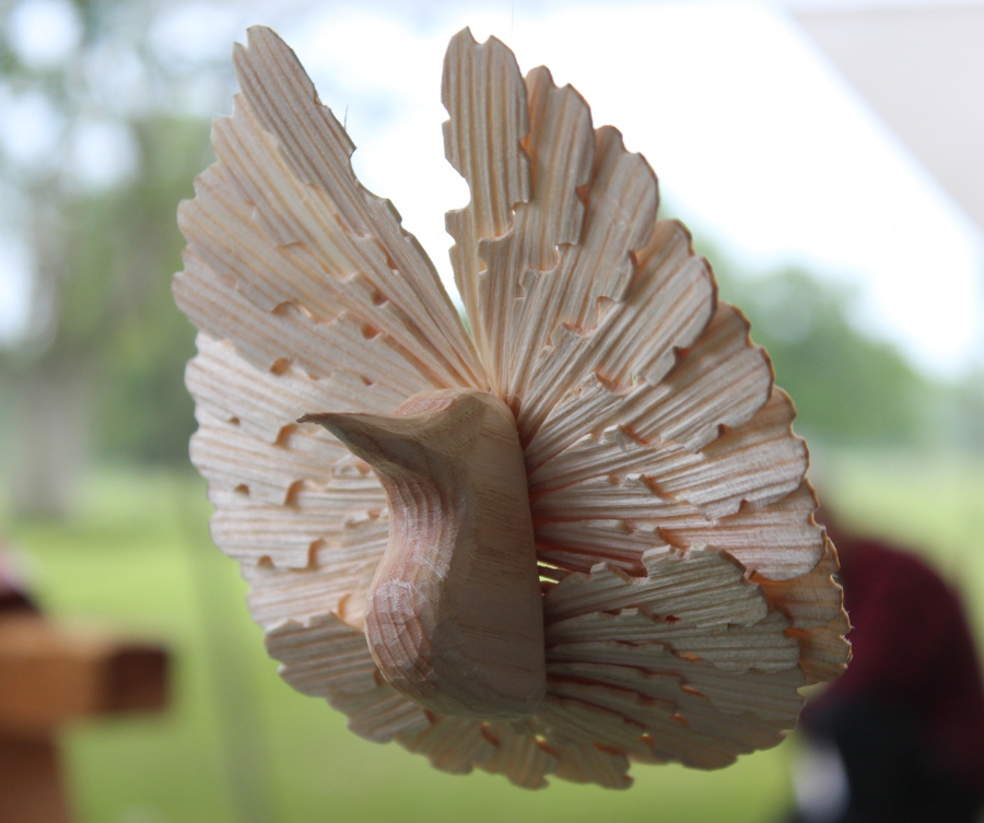 Sean Hellman: Coppice Week and fan birds