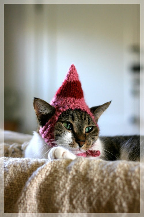 Une Flo-P de Bonnes Idées: mars 2013