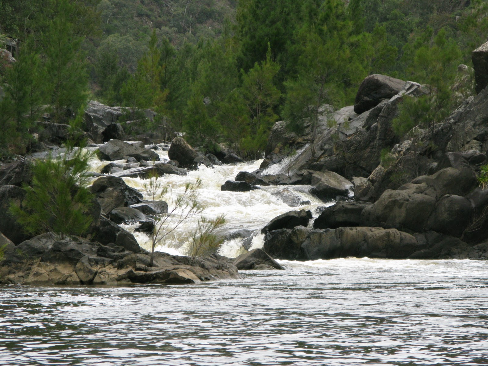 Darren M: WELCOME REEF TO SEWELLS POINT