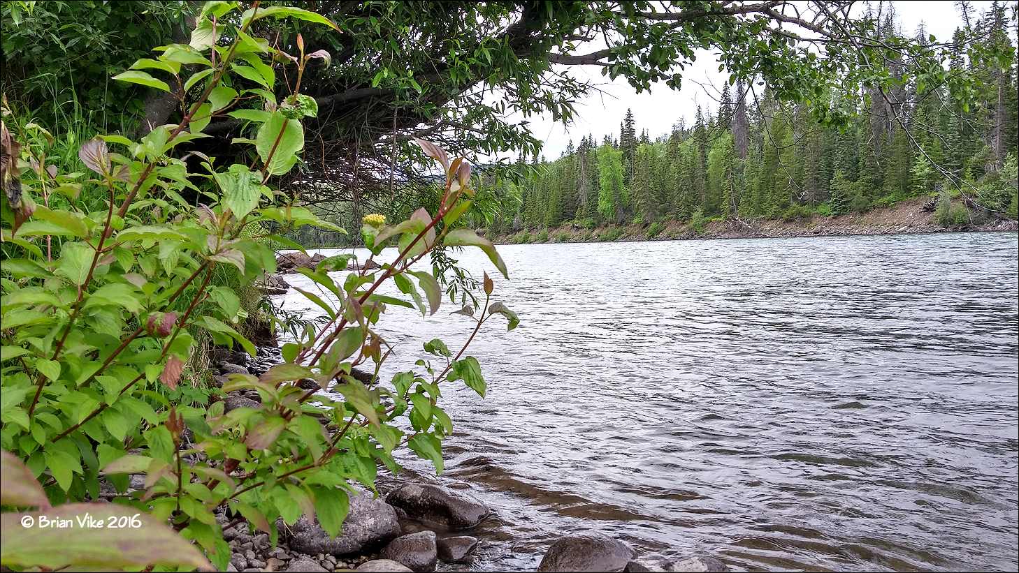 Northern Interior British Columbia: By-Mac Recreation Site On The ...