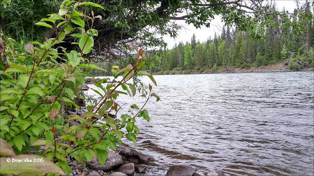 Northern Interior British Columbia: By-Mac Recreation Site On The ...