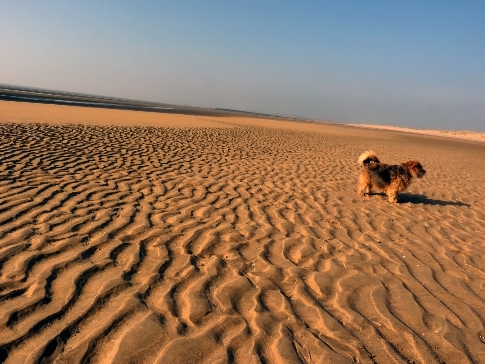 JJ's Photographic nature blog: Camber Sands and a pillbox...