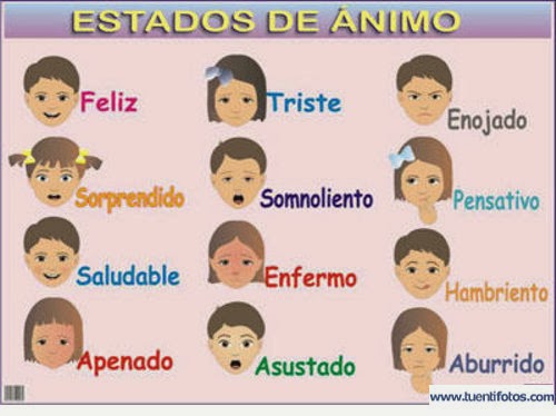 LOS SENTIMIENTOS: Concepto de sentimientos