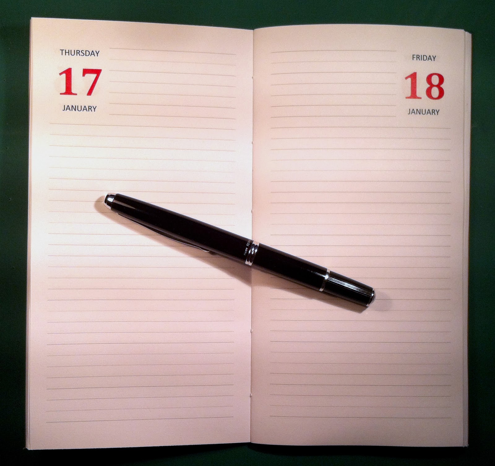 My Life All in One Place: Midori compatible diary journal inserts