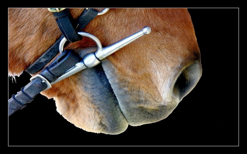 LEZIJUMP: LEZIJUMP - REPORTAGE - LES EFFETS DU MORS...