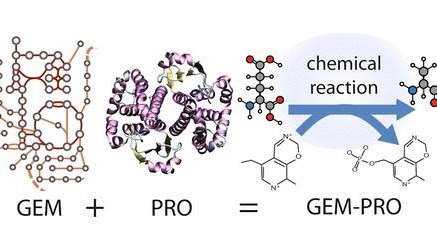 News in Proteomics Research: GEMPro -- Genome Scale Models with Protein ...
