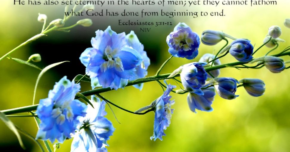 Spring Wallpaper With Bible Verses | All HD Wallpapers