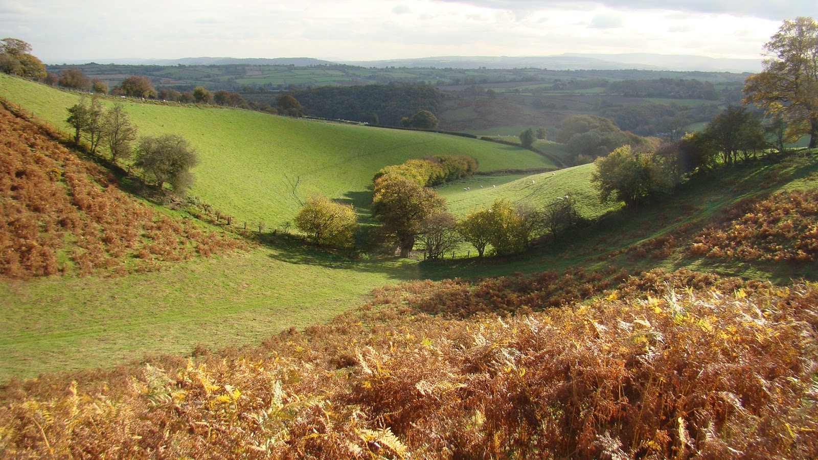 Landscapism: Landscape in particular 5: Hergest Ridge