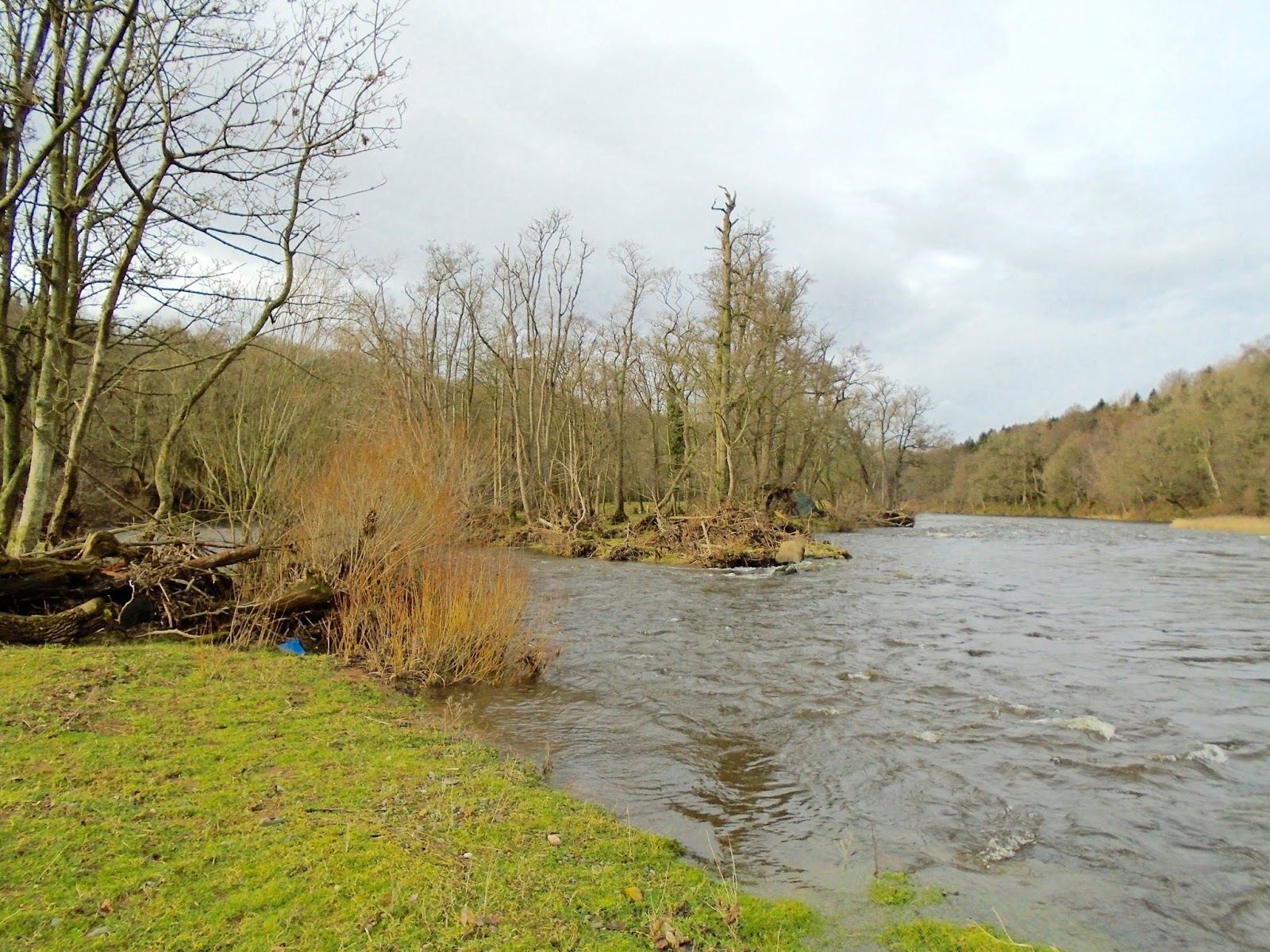 Gavin Graham's Blog: A Walk Along the River Eden at Wetheral