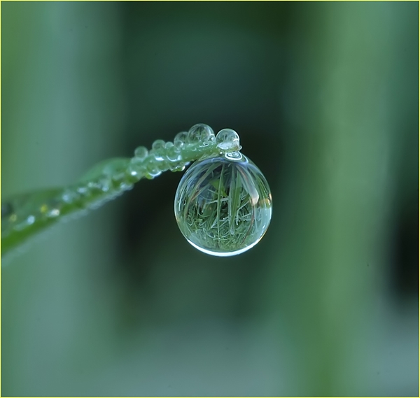 Get Images: Beautiful Colorful Raindrops
