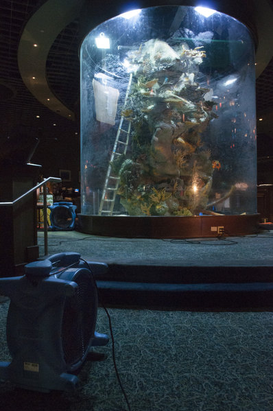 A View from the Beach: Exploding Fish Tank Closes Casino