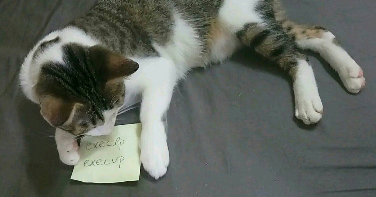 execlp、execvp用法與範例