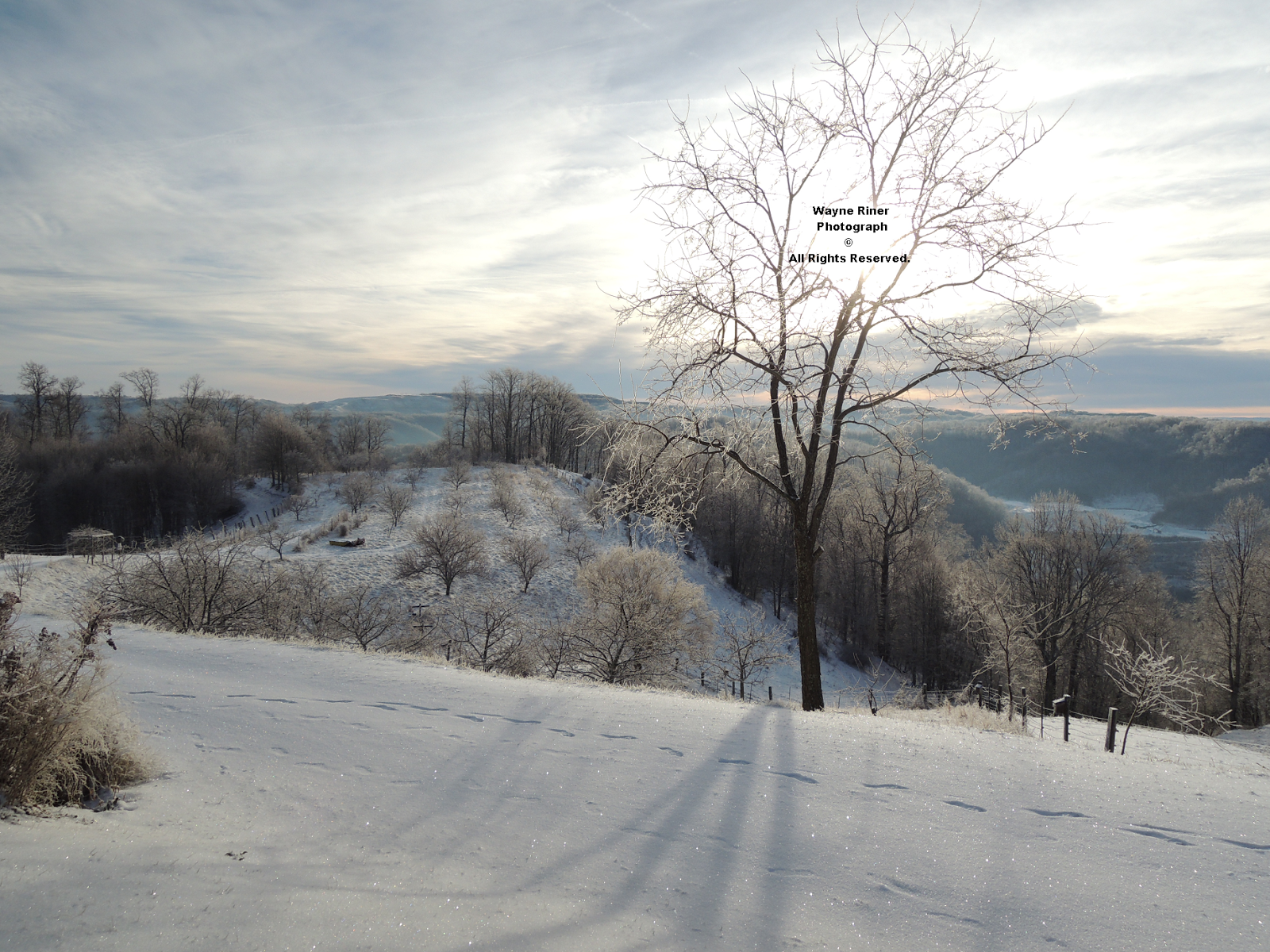 The High Knob Landform: March 2014 Opens With Nasty Winter Storm