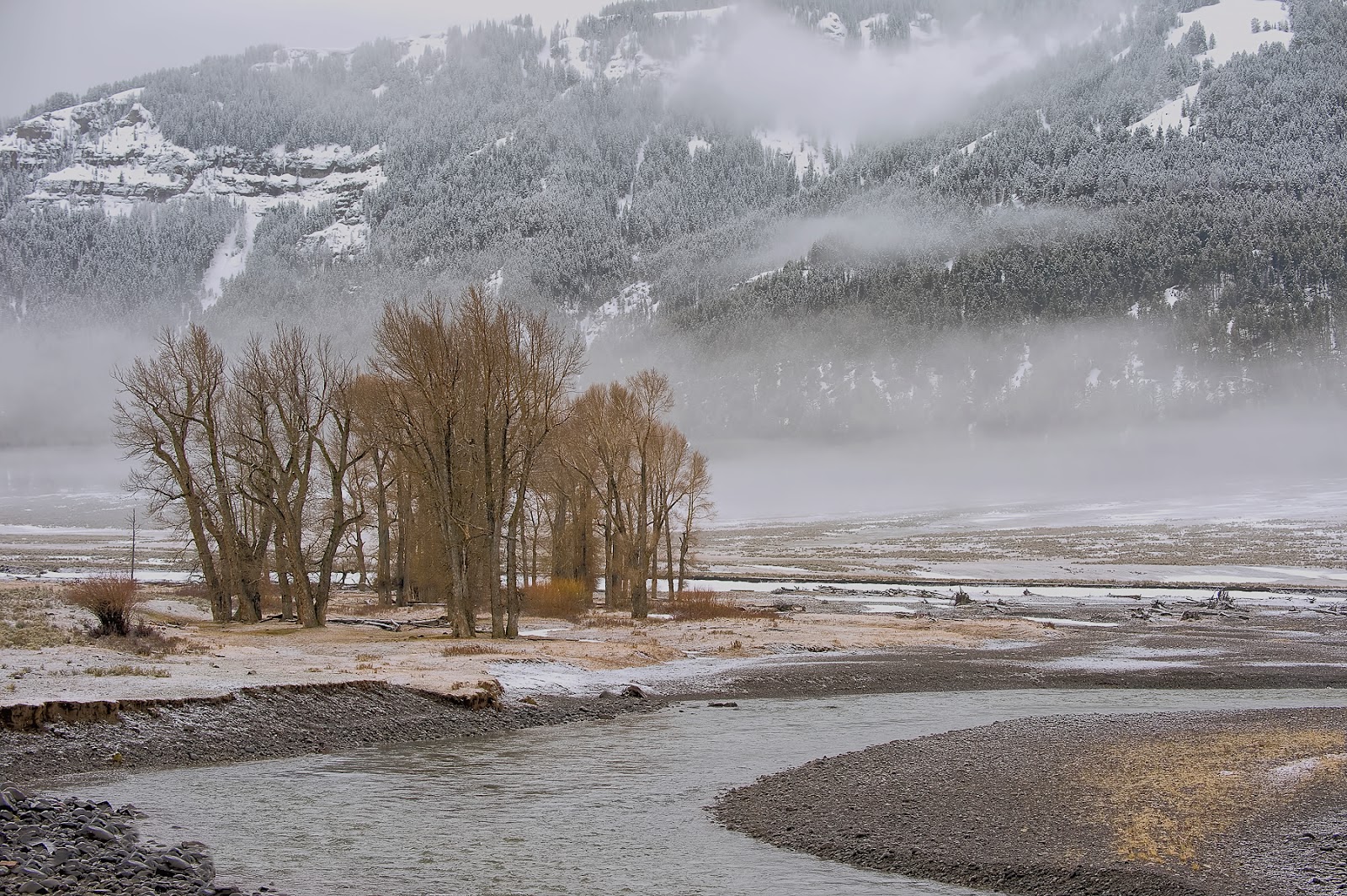 Fly Fishing In Yellowstone National Park: Notes From The Far Side