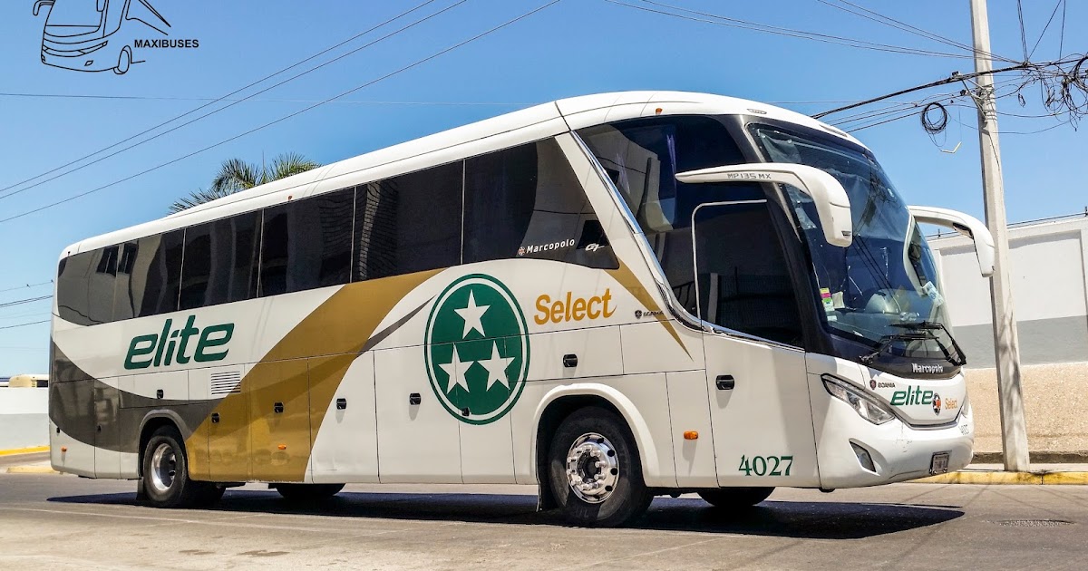 MAXIBUSES: ELITE SELECT