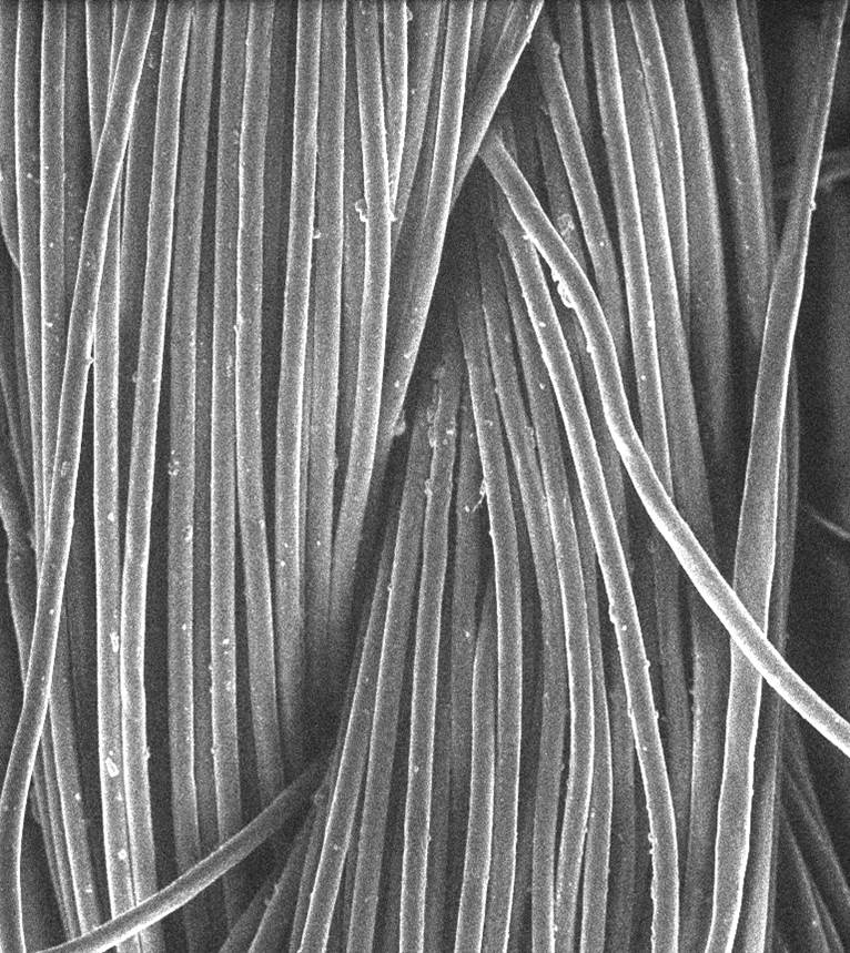 Up Close with Thread