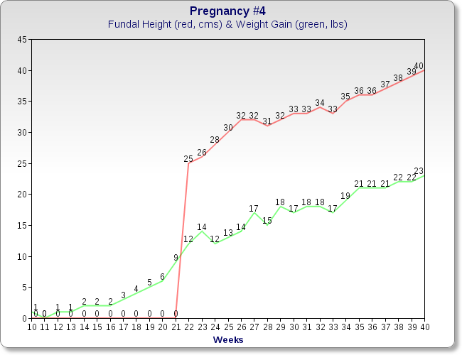 Belly Growth Week By Week Graph
