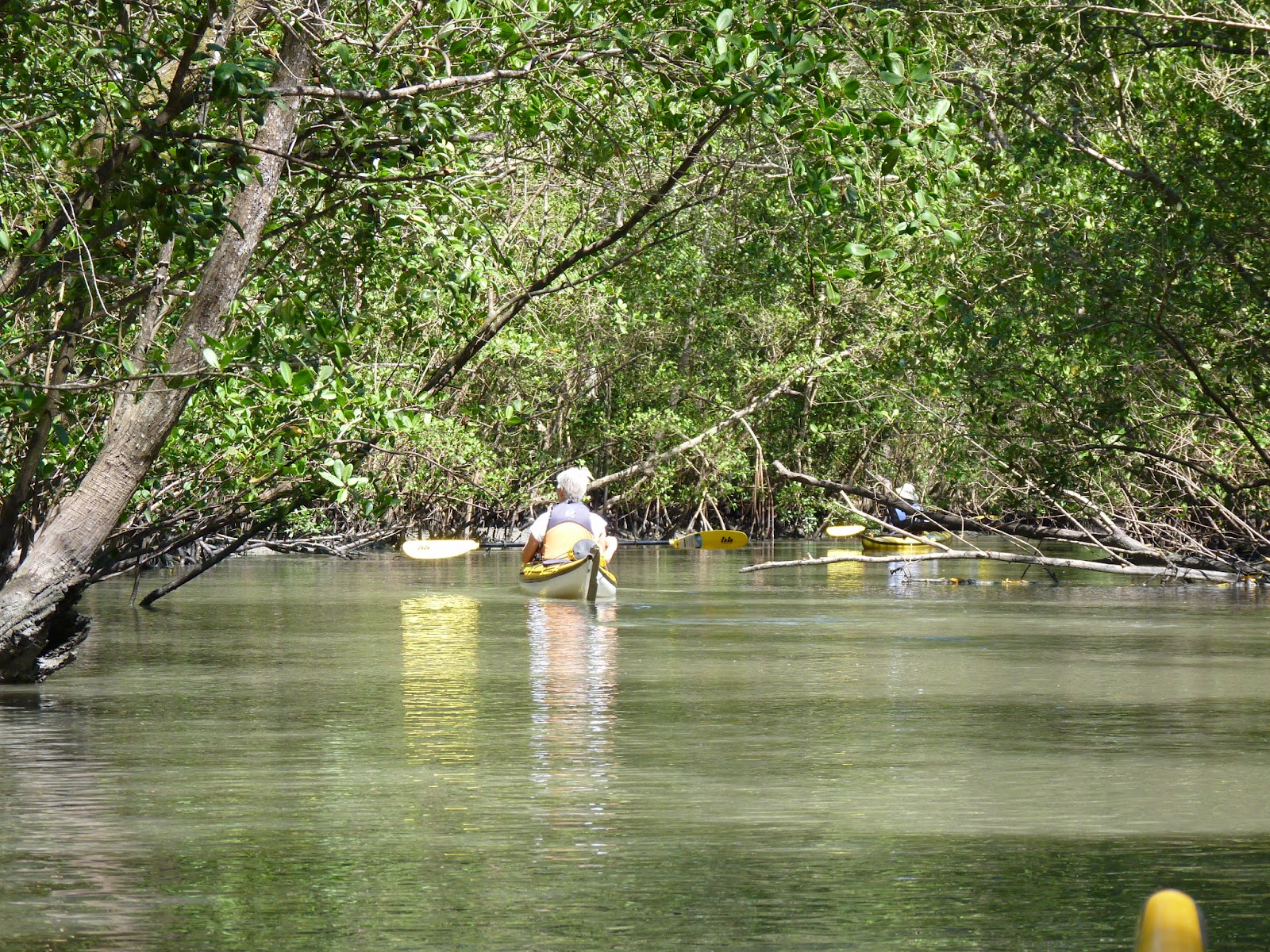 Are You Ready For Brazil? Brazil Travel Guide Blog: Great Things To Do ...