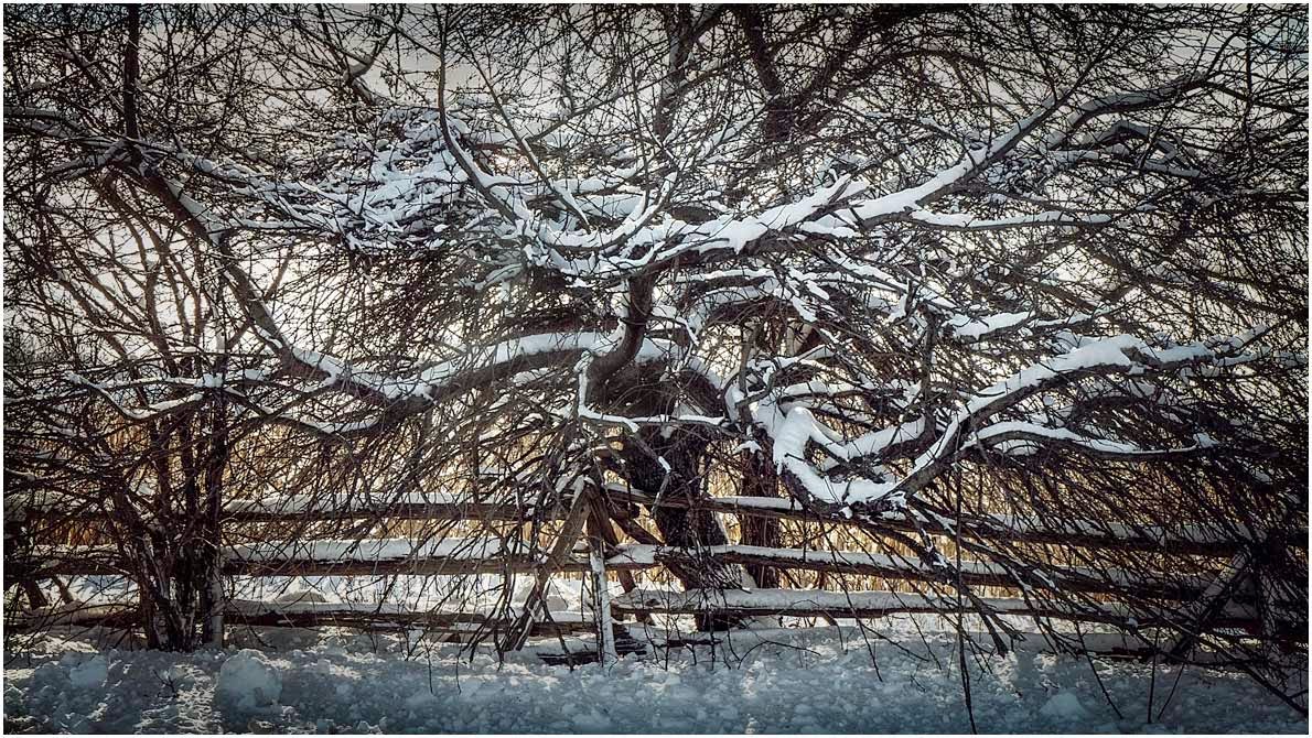 Silverpixel: WINTER ROAD NEAR PERTH, ONTARIO