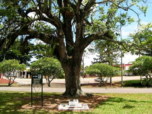 Interpreting Ingham History: The Mafeking Tree and John (Jack) Simpson