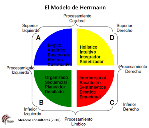 DESARROLLO DEL PENSAMIENTO Y LA INTELIGENCIA HUMANA: TEORÍA DE LOS ...