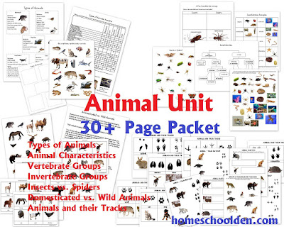 The Homeschool Den: Invertebrates/Vertebrates; The Five Vertebrate Groups