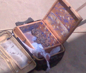 Undergraduate Turned 2 Female Students Into Snake For Money Rituals ...