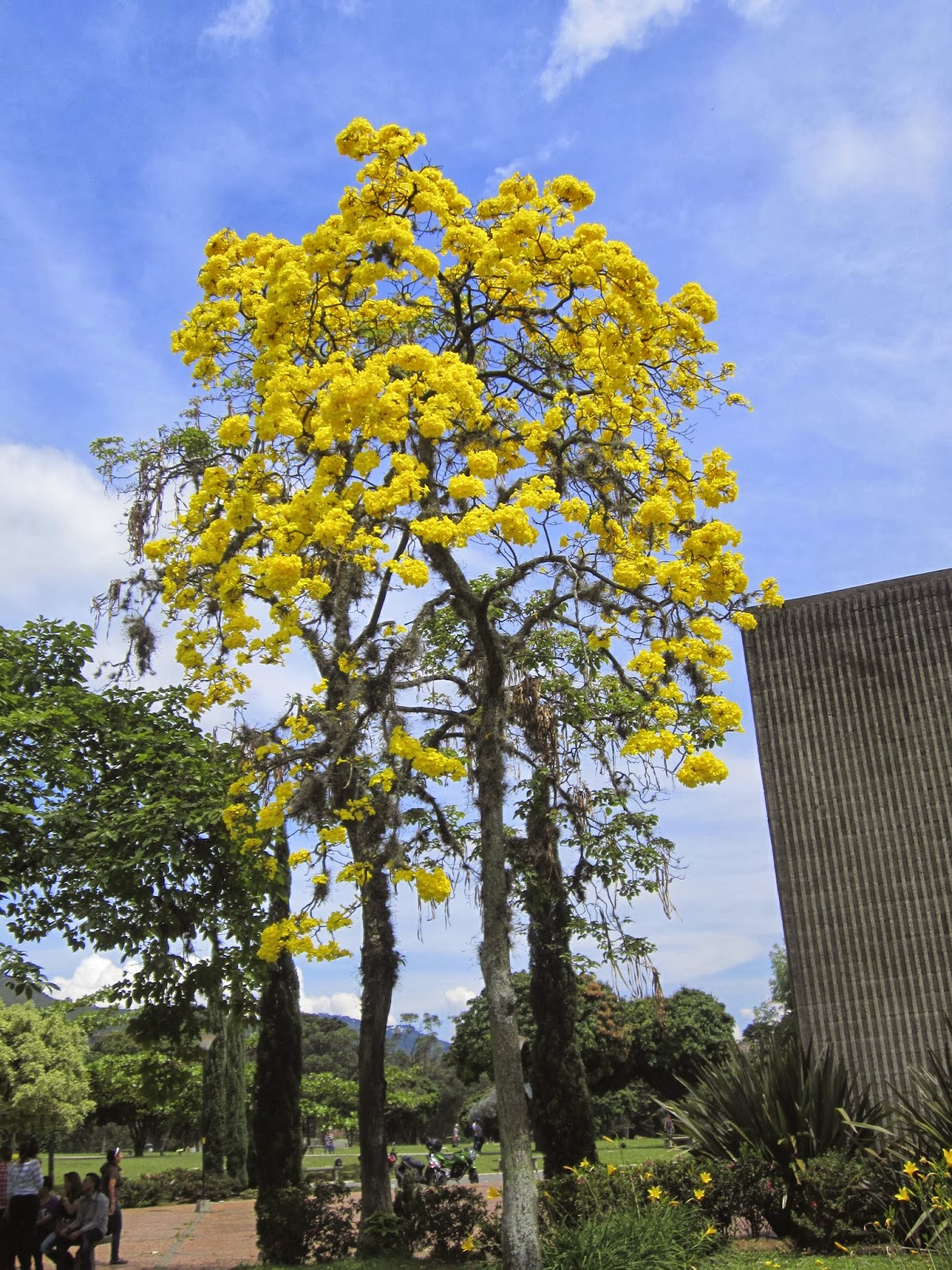Letter From Colombia: Pablo Escobar