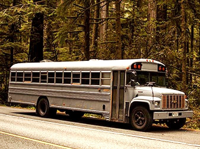 The Flying Tortoise: Hank Butitta's Cleverly Converted Old School Bus ...