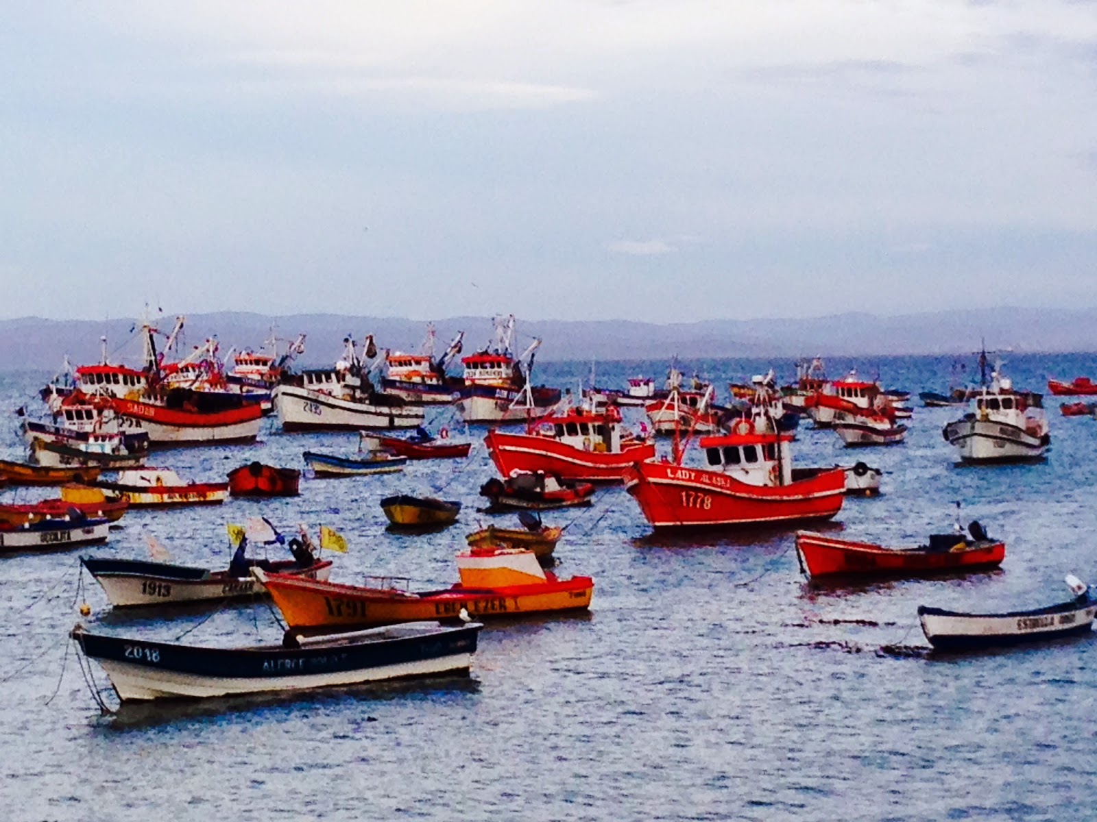 LSU Teaching in Chile 2014: Novedades de la Semana By: Emily LoCoco