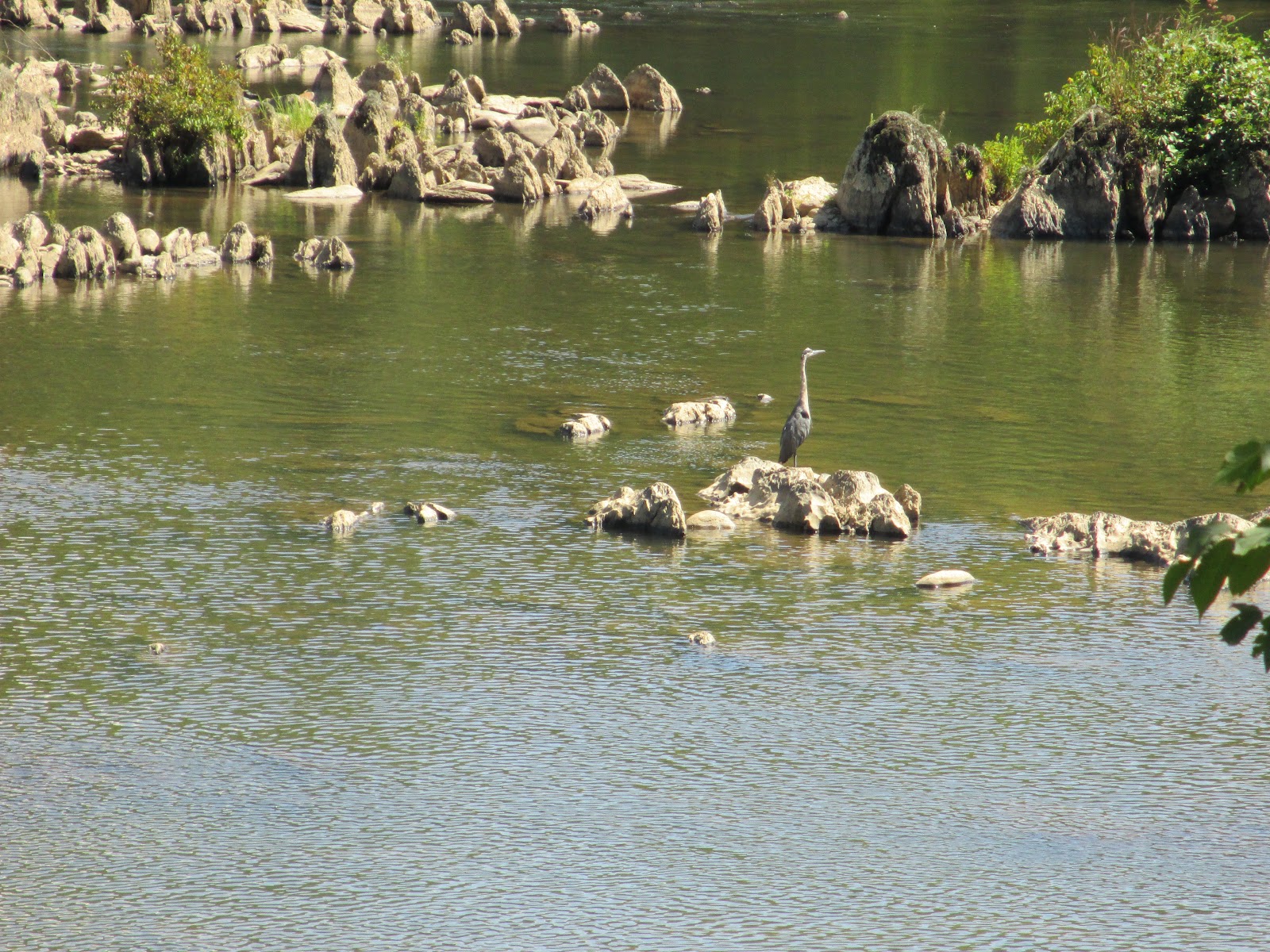 Piedmont Velo Sports: The New River Trail - Foster Falls, VA. to Galax ...