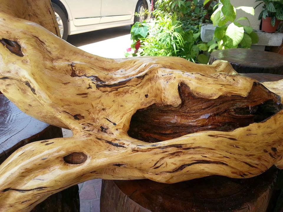 Kayu Warisan Malaysia: Pokok Kemuning