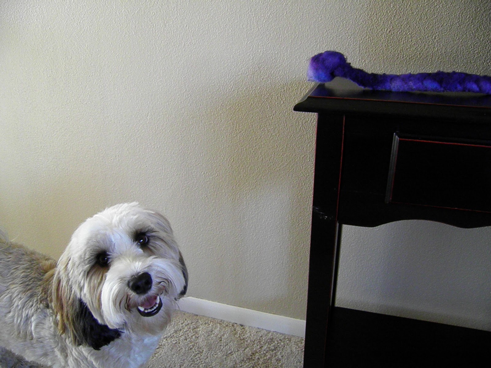Just A Pup: Woolie Dog Tug Toy Review