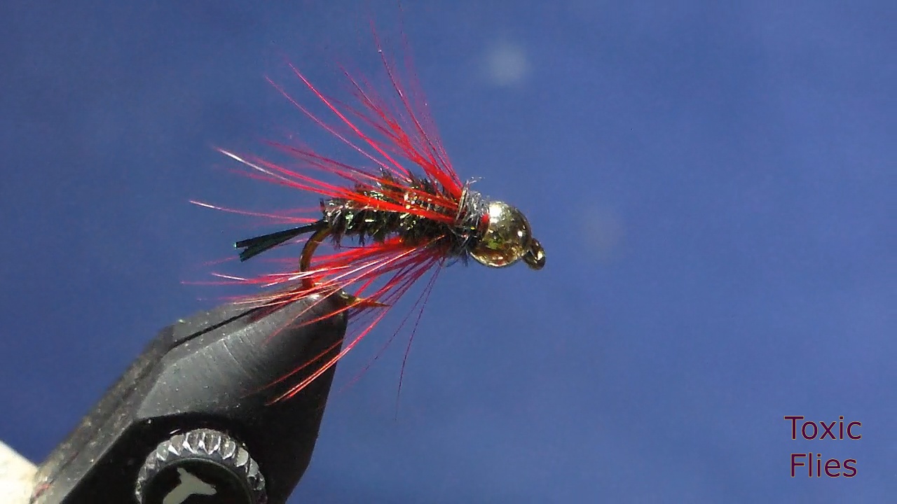 Fly Patterns: Red Peacock