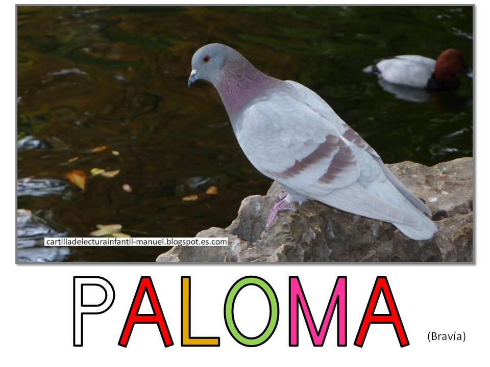 CARTILLA DE LECTURA INFANTIL : PALOMA