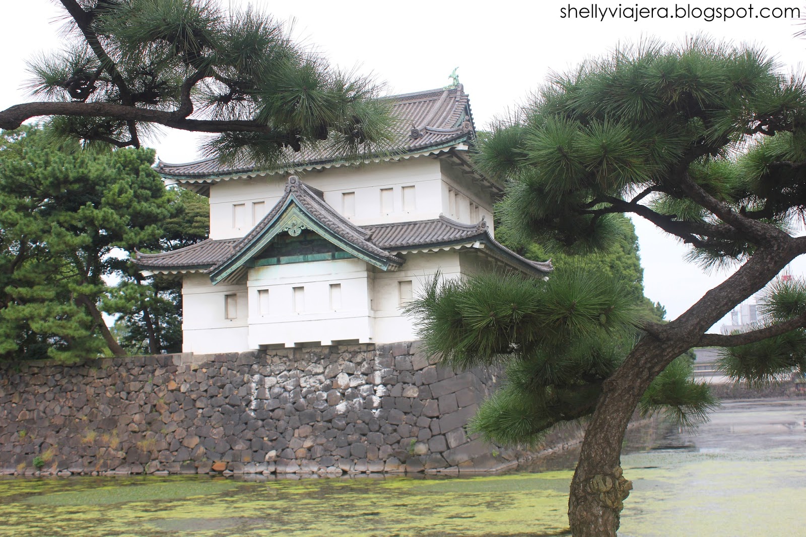 When in Japan: Tokyo Imperial Palace - Shelly Viajera Travel