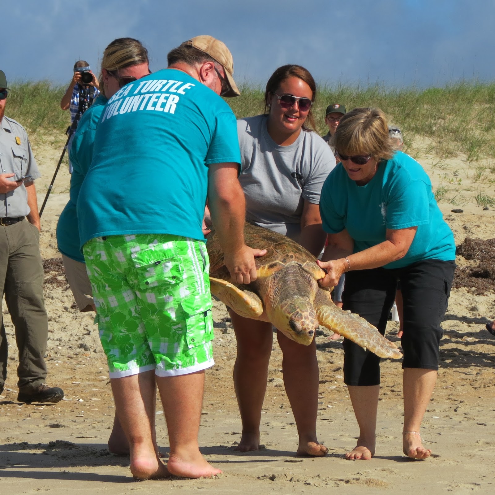 Sea Turtle Assistance and Rehabilitation: Raft and Sandy Go Home