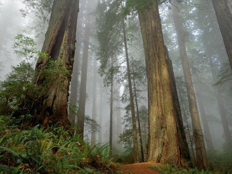 Different types of natural places | Background Wallpapers